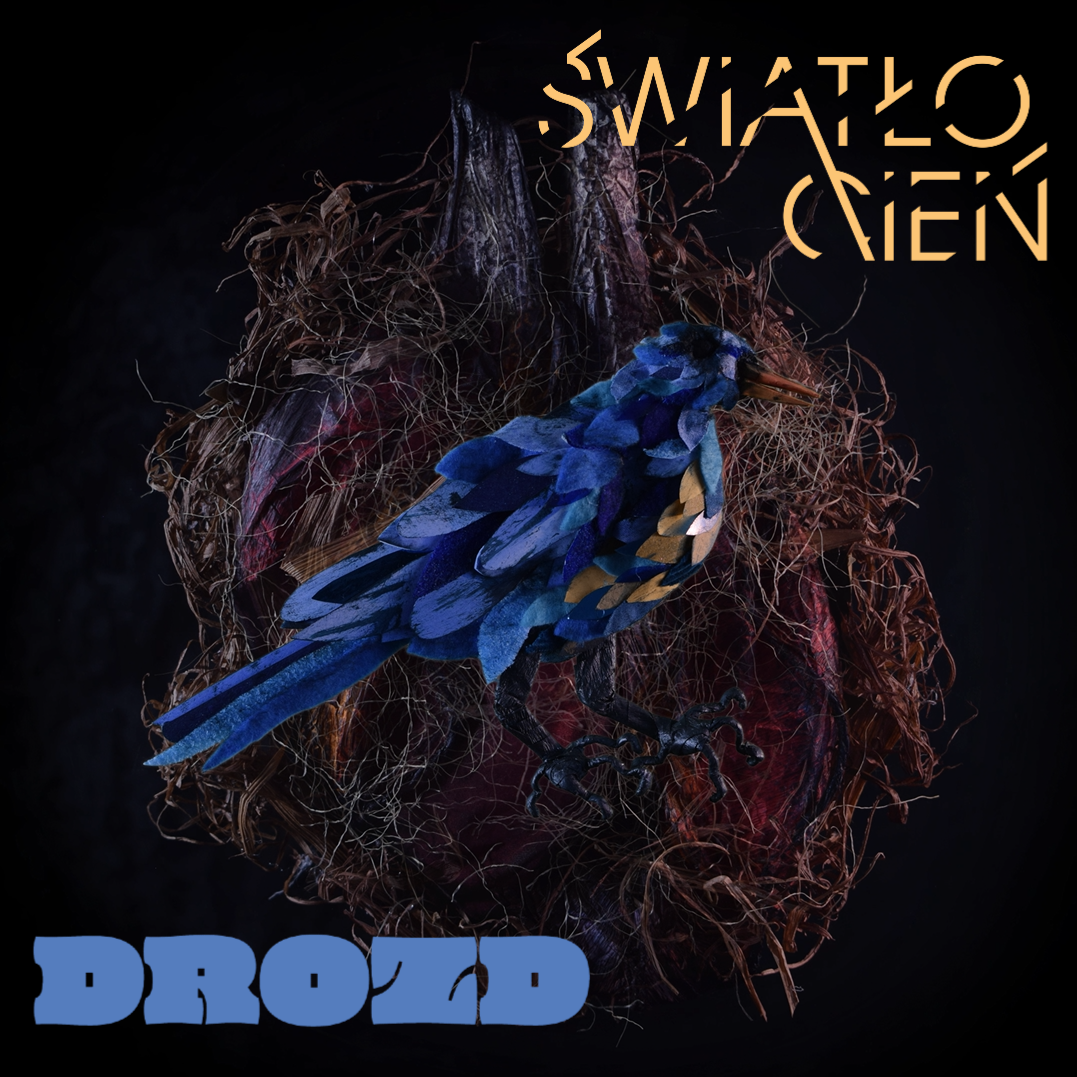 Premiera klipu Światłocień – „Drozd” – M MAG